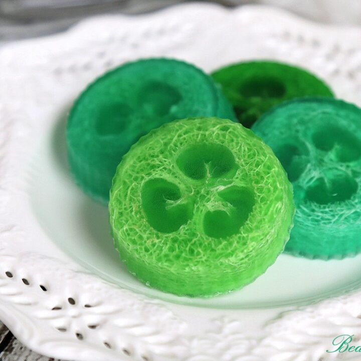 DIY Loofah Soap Recipe - Easy to Make Luffa Soap - Beauty Crafter